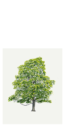 Downtown - Magis S.p.A.