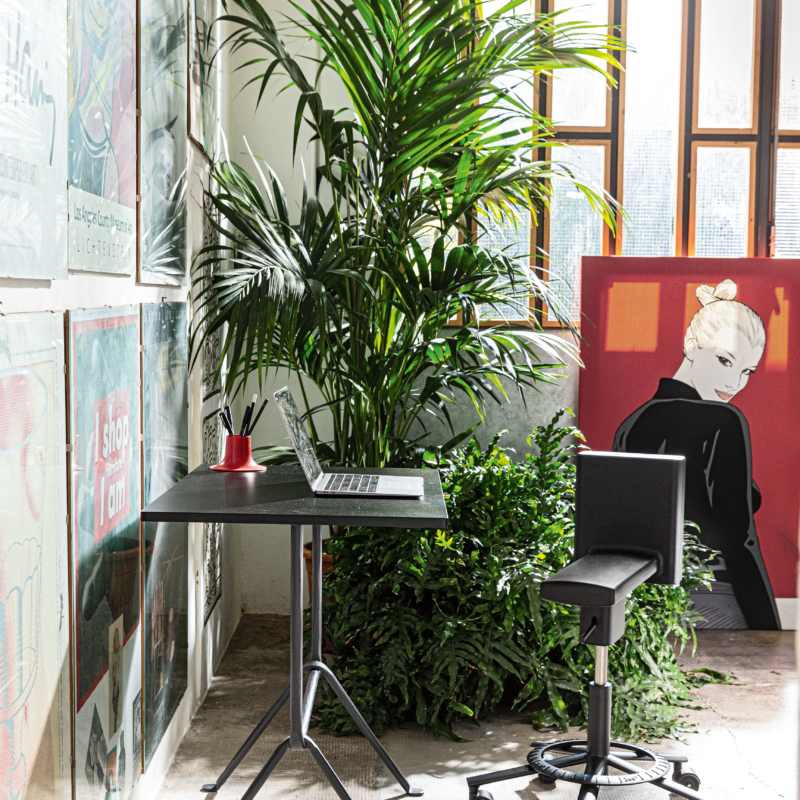 360° - Magis S.p.A.